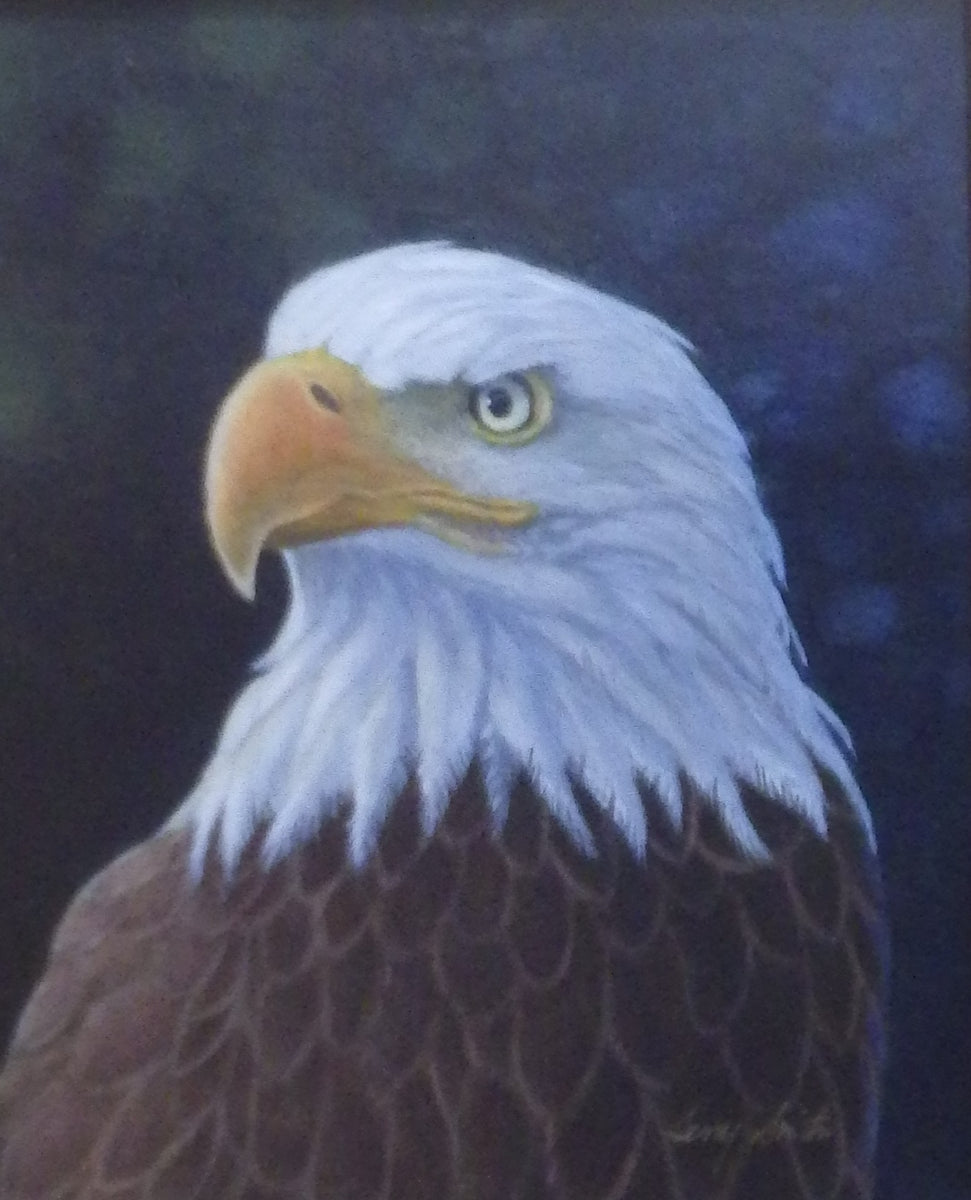 Terry Smith Wildlife Artist Florida Wildlife, Birds, Originals Giclees ...