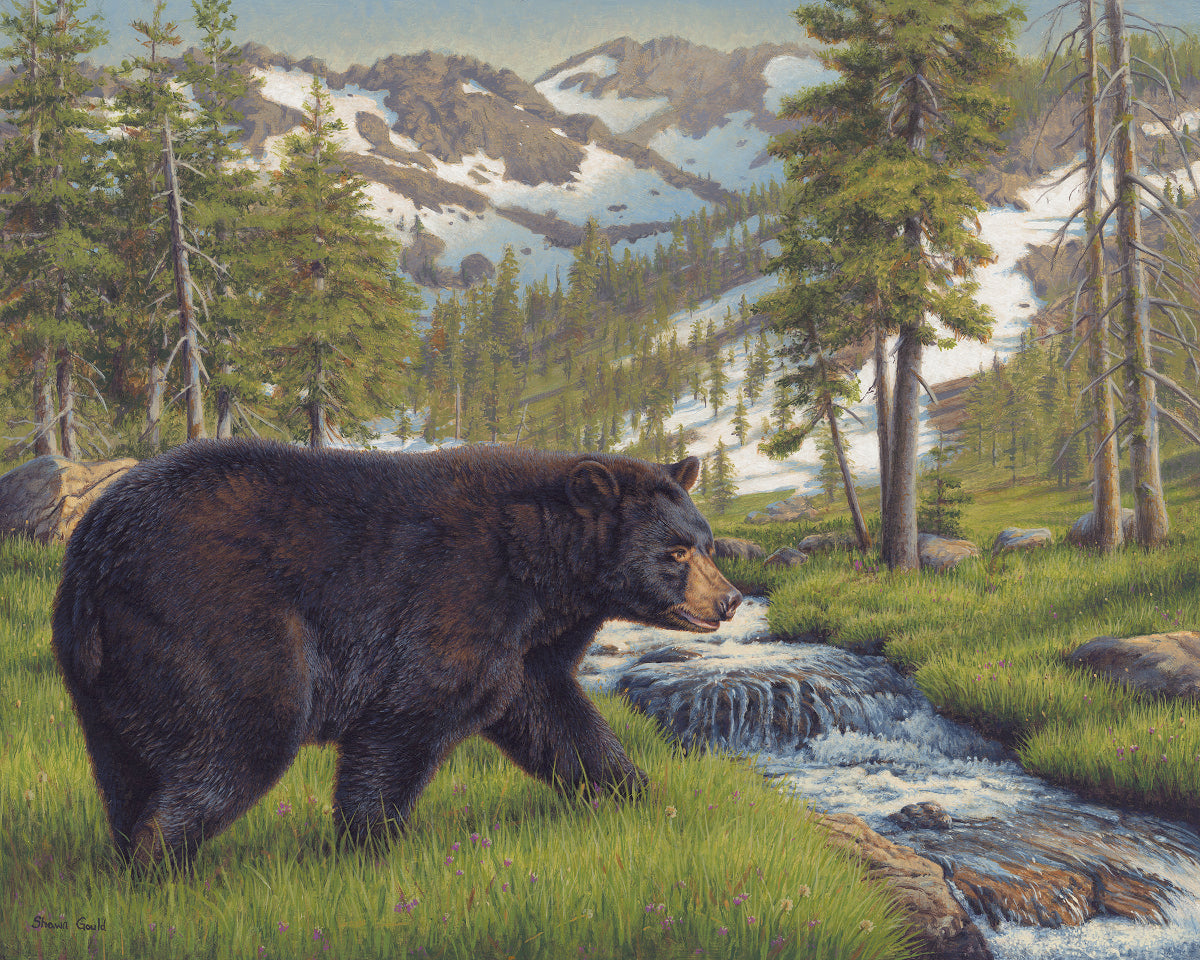 Shawn Gould "Alpine Summer" Contemporary Wildlife Painting – Plainsmen ...
