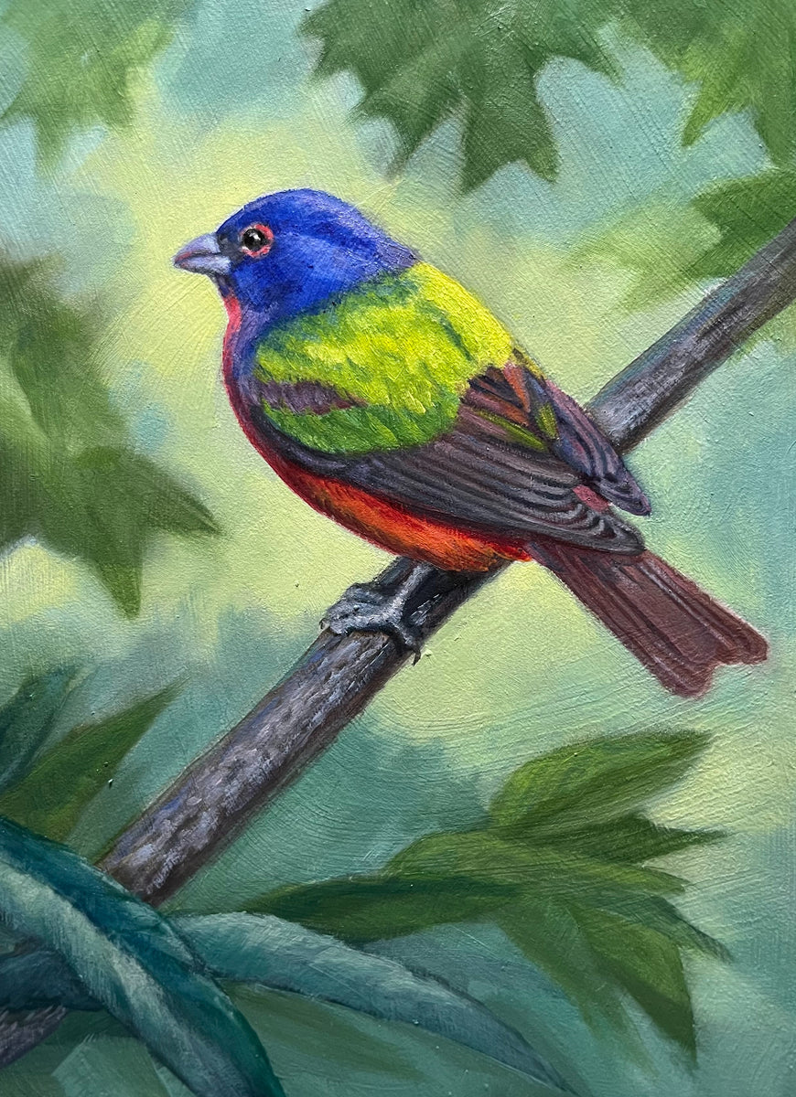 Deborah LaFogg "Painted Bunting" New Painting – Plainsmen Gallery Fine Art