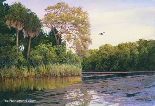 Charles Rowe Painting "Chassahowitzka River" Original Oil – Plainsmen ...