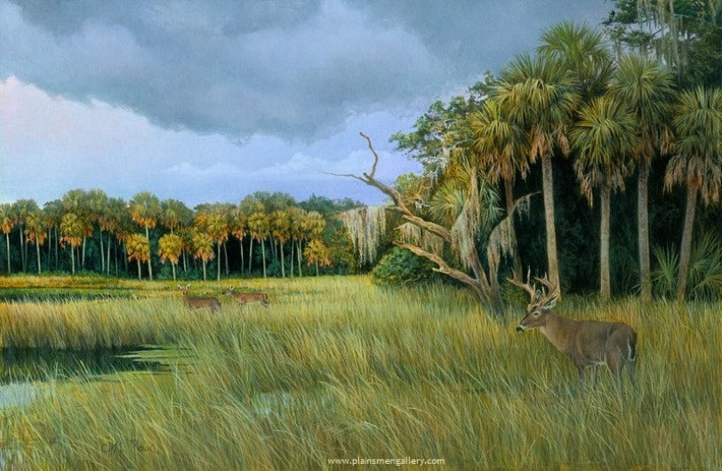 Charles Rowe Painting "Myakka Deer" Original Oil Available – Plainsmen ...