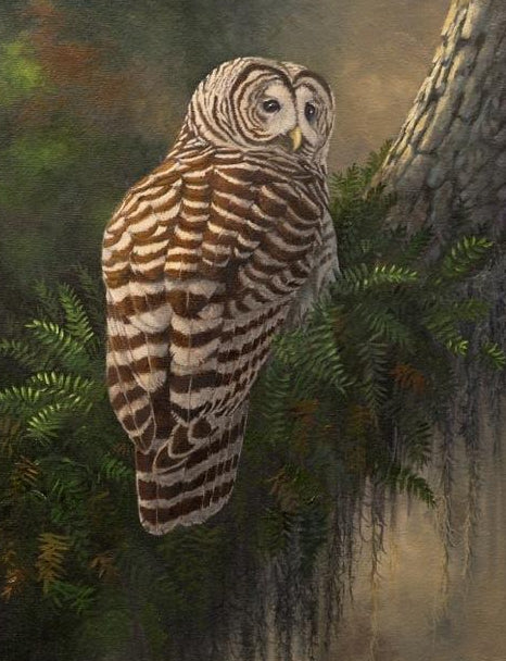 Terry Smith "Nestled" Original Wildlife Painting – Plainsmen Gallery ...